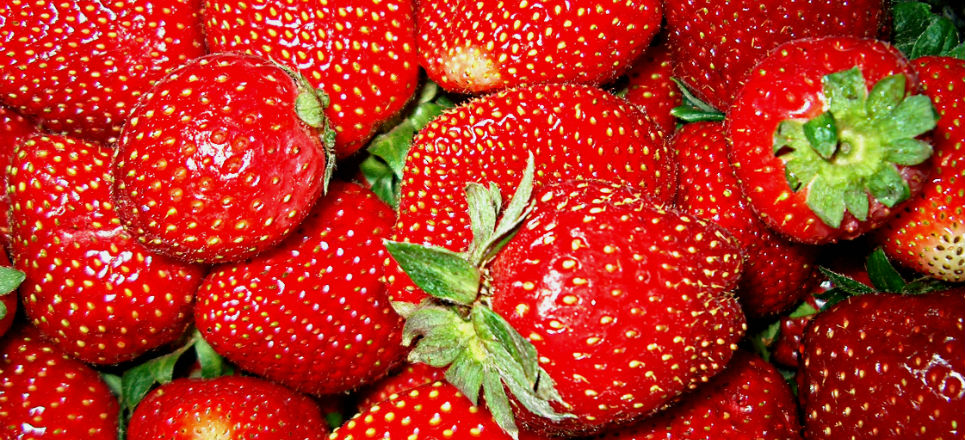 Capital mundial de las fresas | Gastronautas